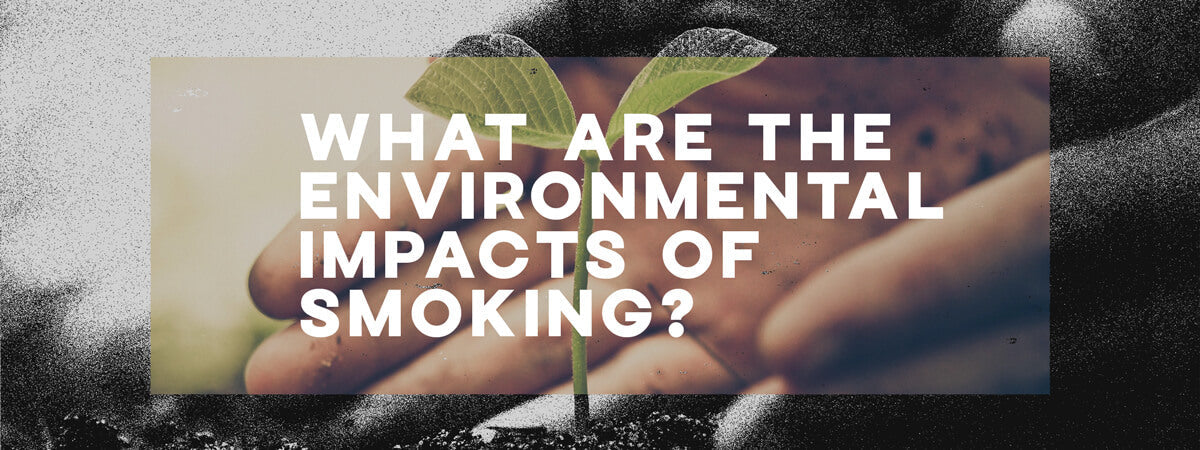 What are the Environmental Effects of Smoking? – Riot E-Liquid